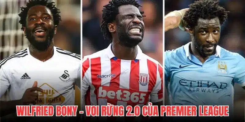 Tiểu Sử Wilfried Bony: Voi Rừng 2.0 Của Premier League
